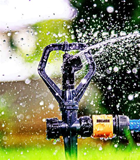 Plastic Butterfly Sprinkler Head Holman Industries