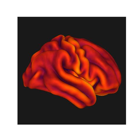 Add Scalar Layer — Cerebro Viewer 00105 Documentation