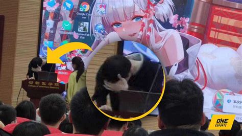 Cập nhật hơn 83 về hình nền shoukaku coedo vn