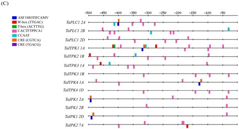 Plants Special Issue Phytic Acid Pathway And Breeding In Plants