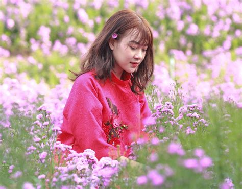 Love Spring Free Photo On Pixabay Pixabay