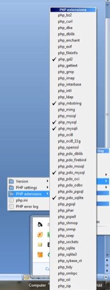 Wamp Server Setup Guide