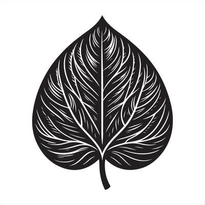 Bodhi Tree Leaf Vector Art Icons And Graphics For Free Download