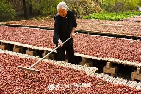 三年 乐陵建设“富美和谐区域性中心城市”成果丰硕财经频道频道新浪山东新浪网