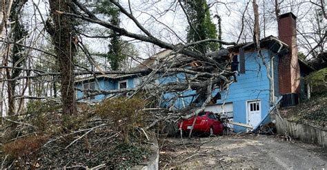 Woman Rescued From Tryon Residence After Tree Crashes Through Roof