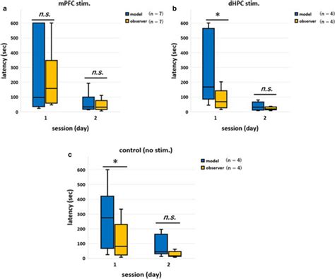 Medial Prefrontal Cortex Stimulation Disrupts Observational Learning In Barnes Maze In Rats Pmc