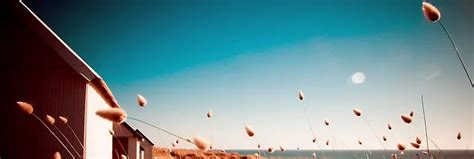 Banner Png Yjkvmzgg