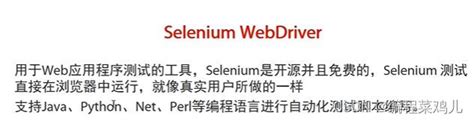 Web自动化测试（javaselenium）java Selenium Webdriver Csdn博客