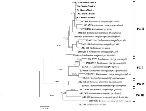 maximum likelihood tree log likelihood −5129 9449 based on the