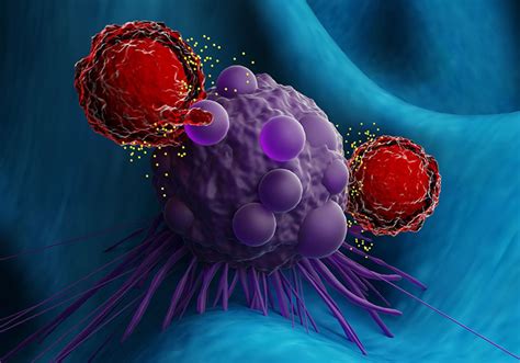 Helping Engineered T Cells Find Their Way To Tumors The Scientist