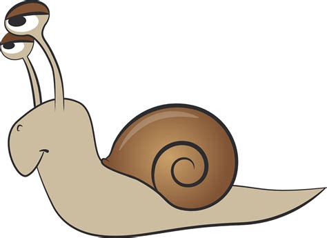 Snail Without Shell Drawing