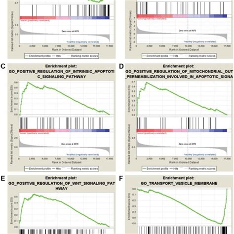 Kegg Enrichment Analysis For The Degs By Gsea A Jak Stat Signaling Download Scientific