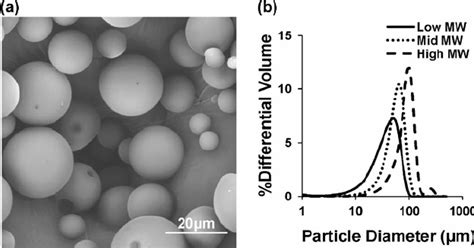 Morphology And Size Of Plga Particles Scanning Electron Microscopy Download Scientific Diagram