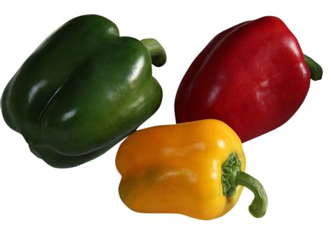 Royalty Free Footages