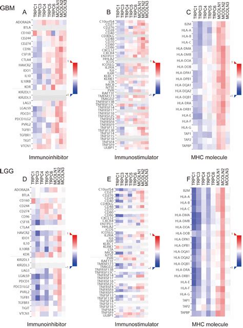Correlations Between Hub Genes And The Expression Of Immunoregulators