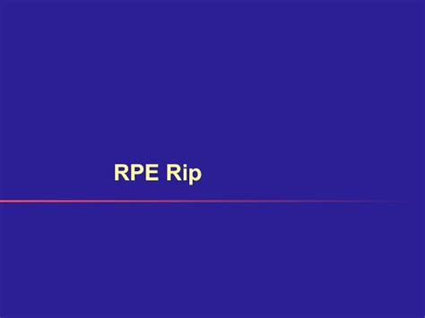 RPE Rip презентация, доклад