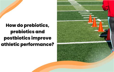 How Do Prebiotics Probiotics And Postbiotics Improve Athletic Perform