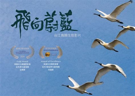 All Atwitter Taiwan Today