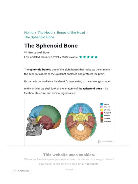 Sphenoid Bone Location Structure Function Teachmeanatomy Pdf Human Head And Neck