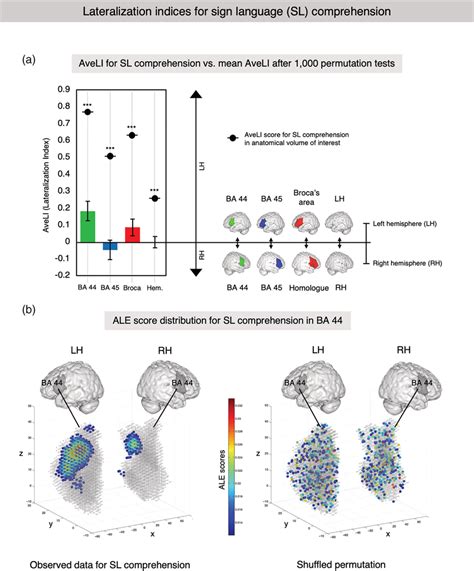 Lateralization Indices For Sign Language Sl Comprehension A Aveli Download Scientific