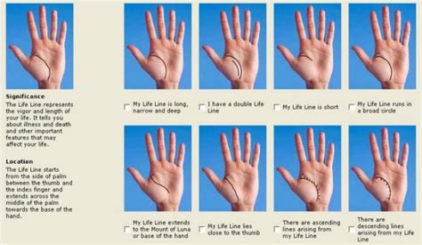 Silly Diversions Page 2 Xnxx Adult Forum