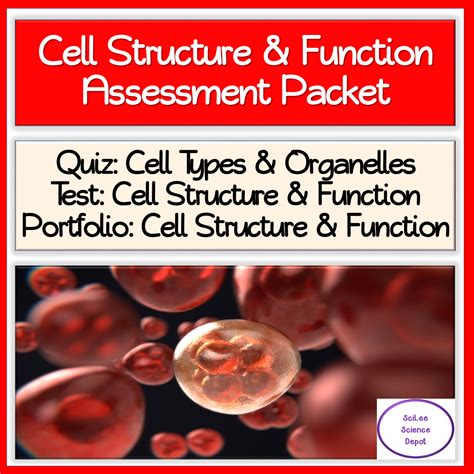 Cellular Structure And Function No Prep Unit Bundle Made By Teachers