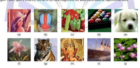 Figure 1 From Performance Comparison Of Wavelets Generated From Four