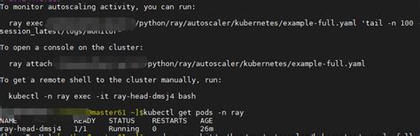 Why The Self Built Ray Image Cannot Start The Worker Nodes · Issue