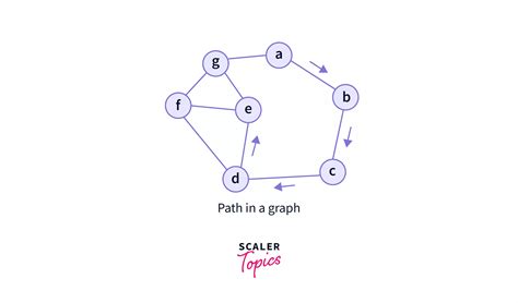 Graph Data Structure Scaler Topics