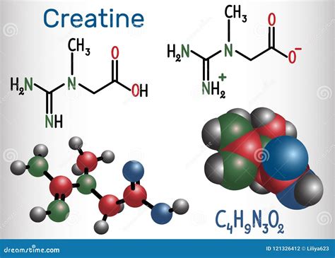 Creatine Molecule Structural Chemical Formula And Molecule Mode Vector