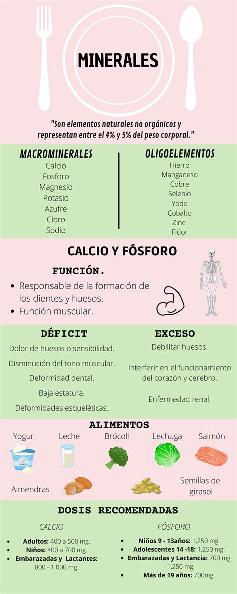 Infografías Nutrición y Bienestar Minimalista Verde Rosado V