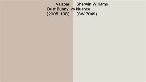 Valspar Dust Bunny 2005 10b Vs Sherwin Williams Nuance Sw 7049 Side