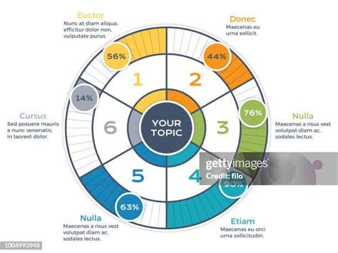 49 6 Segment Infographic High Res Illustrations Getty Images