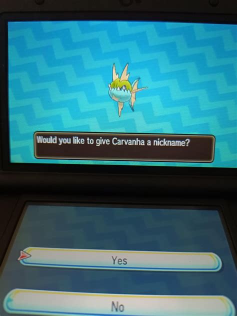 [gen 7] 10 Mins After Killing Shiny Sharpedo Sacrifice Paid Off 😅 R Shinypokemon