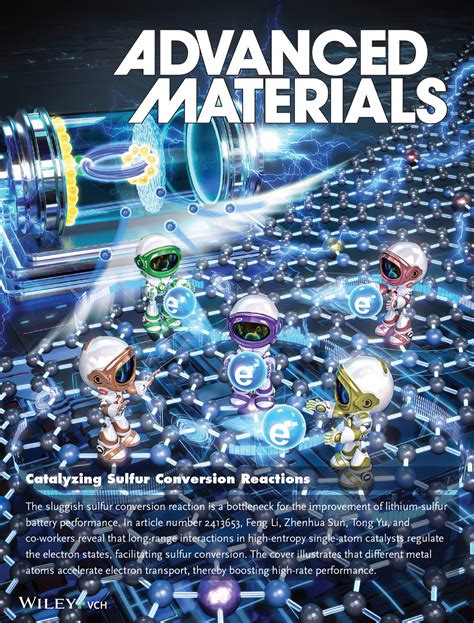 The Role Of Long‐range Interactions Between High‐entropy Single‐atoms