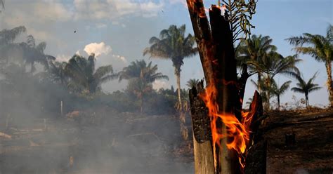 El G7 Trabaja Sobre Una Respuesta Concreta A Los Incendios En El