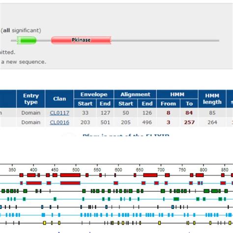 Bioinformatics Analysis The Results Of Protein Function Prediction Download Scientific
