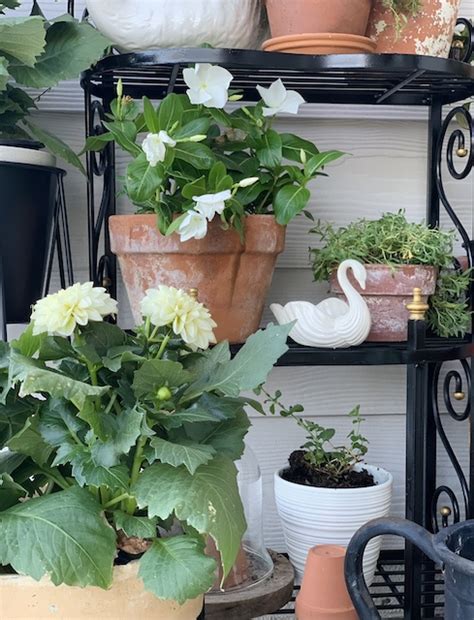 Rusty Plant Stand Makeover My Weathered Home