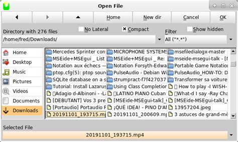 Github Amikey Msefiledialogx Https Github Fredvs