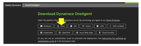 Oneagent Mp Devops Series