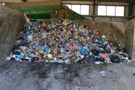 Makabryczne odkrycie w sortowni śmieci Pracownicy w szoku