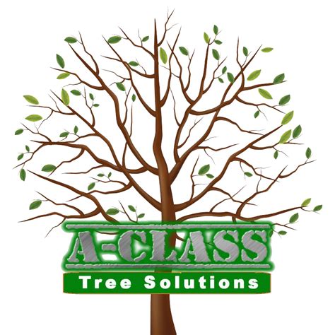 A Class Tree Solutions Medium