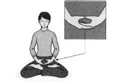 Zen Postures Issue Anitsh Til Github