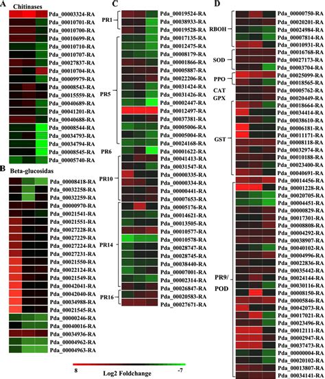 Heat Maps Of Degs Related To Ros Signaling And Pathogenesis Related