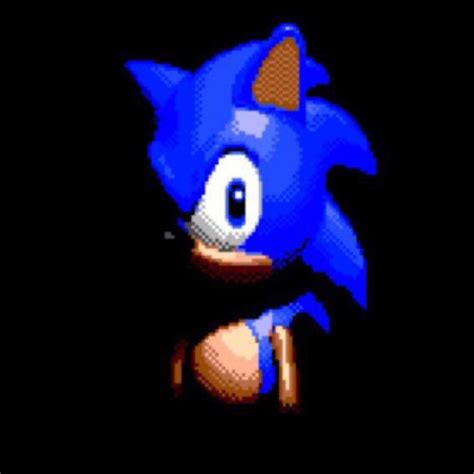 Staring Sonic Sonic The Hedgehog Know Your Meme