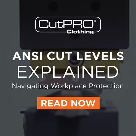 Ansi Cut Levels Explained