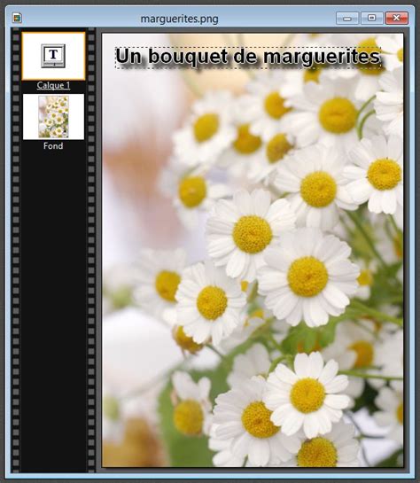 Ajouter Du Texte Sur Une Image Médiaforma
