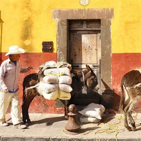 墨西哥城。圣米格尔 德阿连德一日游门票