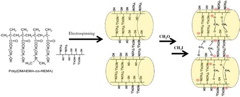 Process Of Fabricating The Self Supporting Microfiltration Membrane By