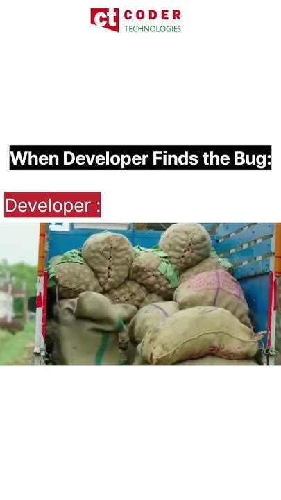 Bug Bugfixing Softwaretesting Funny Comedy Viralvideo Bug Youtube